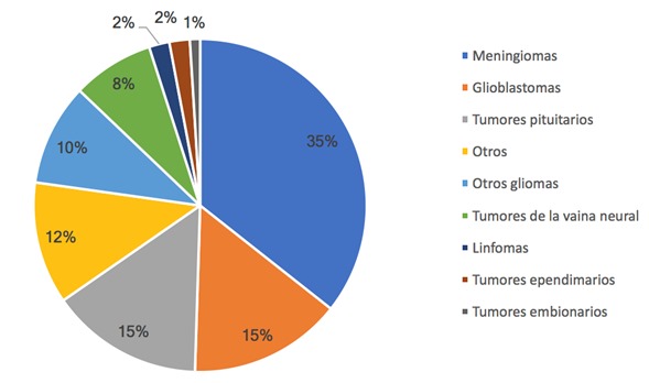 Epidemiología Y Caracterización General De Los Tumores Cerebrales